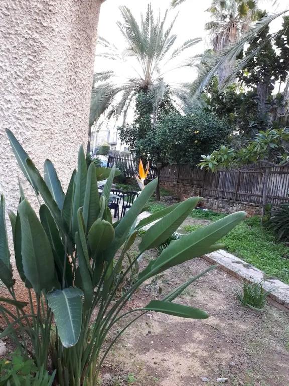 Road Trip Tel Aviv → Petah Tikva - 15 km / 12 min | Map, Stops, Rideshares & Tips