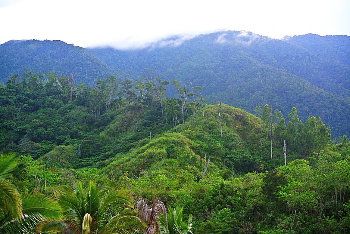 Northern Sierra Madre Natural Park
